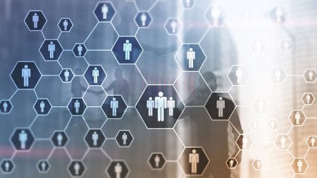 Improving Organizational Efficiency: The Palm Tree Approach to Spans ...